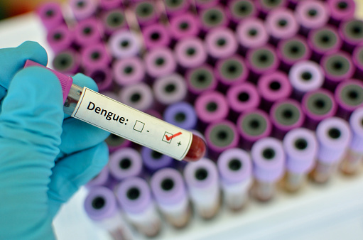 Study Points to Possible Dengue Fever Treatment