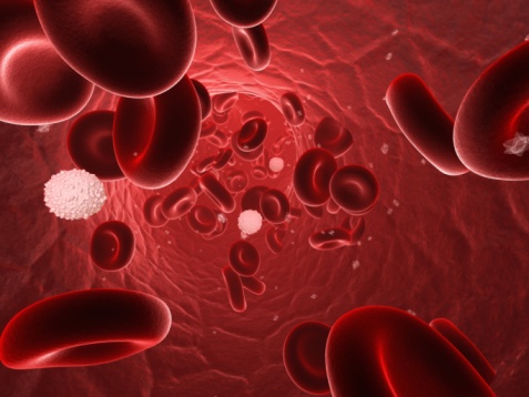 Cell damage caused by iron in the blood