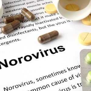Norovirus vs. gastroenteritis, differences in symptoms, causes, and ...