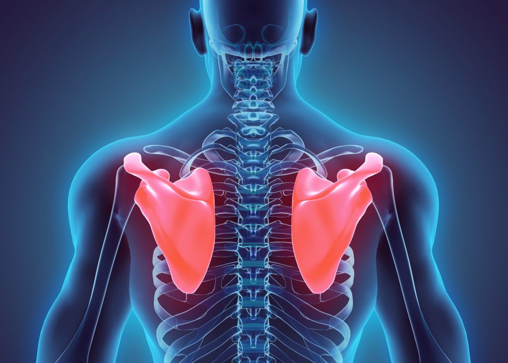 Pain between shoulder blades: Causes, symptoms, and treatments