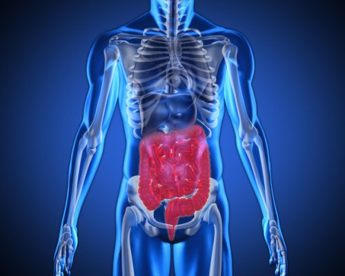 Improving your digestion after 60: How aging affects your digestive health