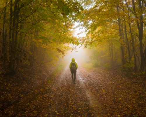 Wandering in dementia patients: Causes and treatments