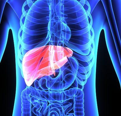 Understanding liver function tests: Abnormal, elevated, and normal range