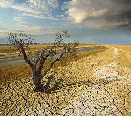 Climate change and droughts affecting the health of our seniors