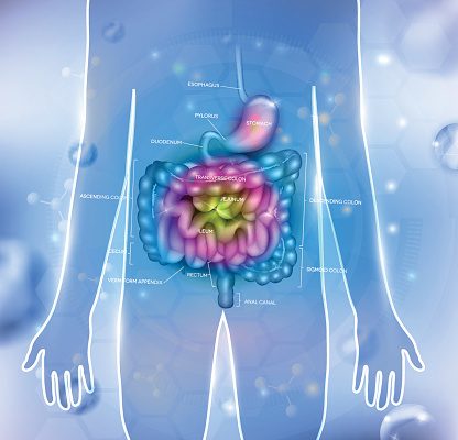 Infectious Colitis: Causes, Symptoms, and Treatment Tips