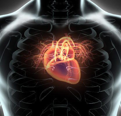 Cardiomyopathy types: Dilated, hypertrophic, restrictive, ischemic, and ...