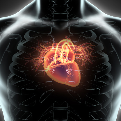 Cardiomyopathy types: Dilated, hypertrophic, restrictive, ischemic, and ...
