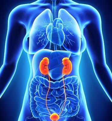 Poor Kidney Function Associated with Decrease in Bone Mineral Density ...