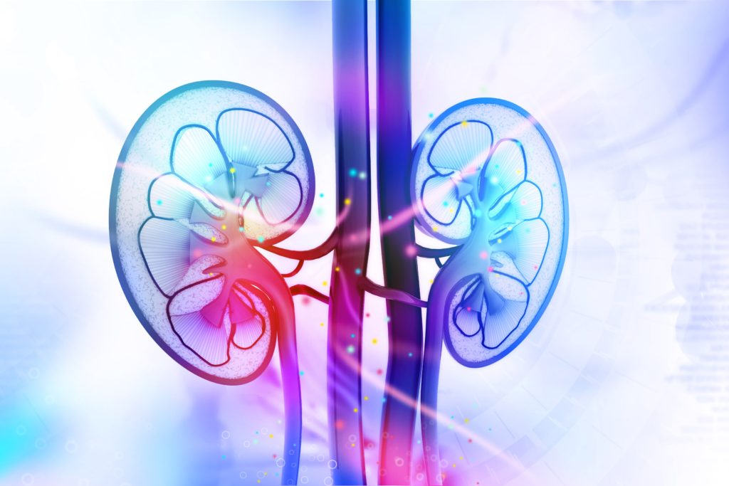 Chronic Kidney Disease Patients Are at Increased Risk of Falls
